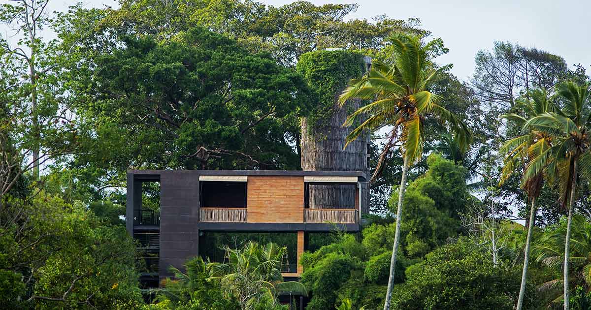 The Impact of Yoga For Your Mind | Tri Lanka